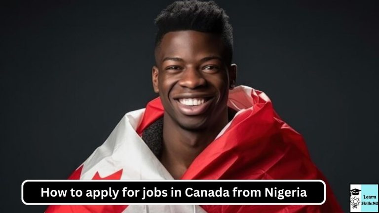 What Is the Current Minimum Salary in Nigeria Per Month?