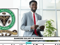 How Much Does a Project Manager Make in Nigeria?