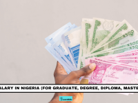 DSS Rank Salary in Nigeria: What Are the Salary Ranges?