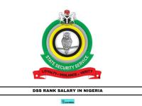 How Much Does a Project Manager Make in Nigeria?