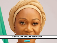 DSS Rank Salary in Nigeria: What Are the Salary Ranges?